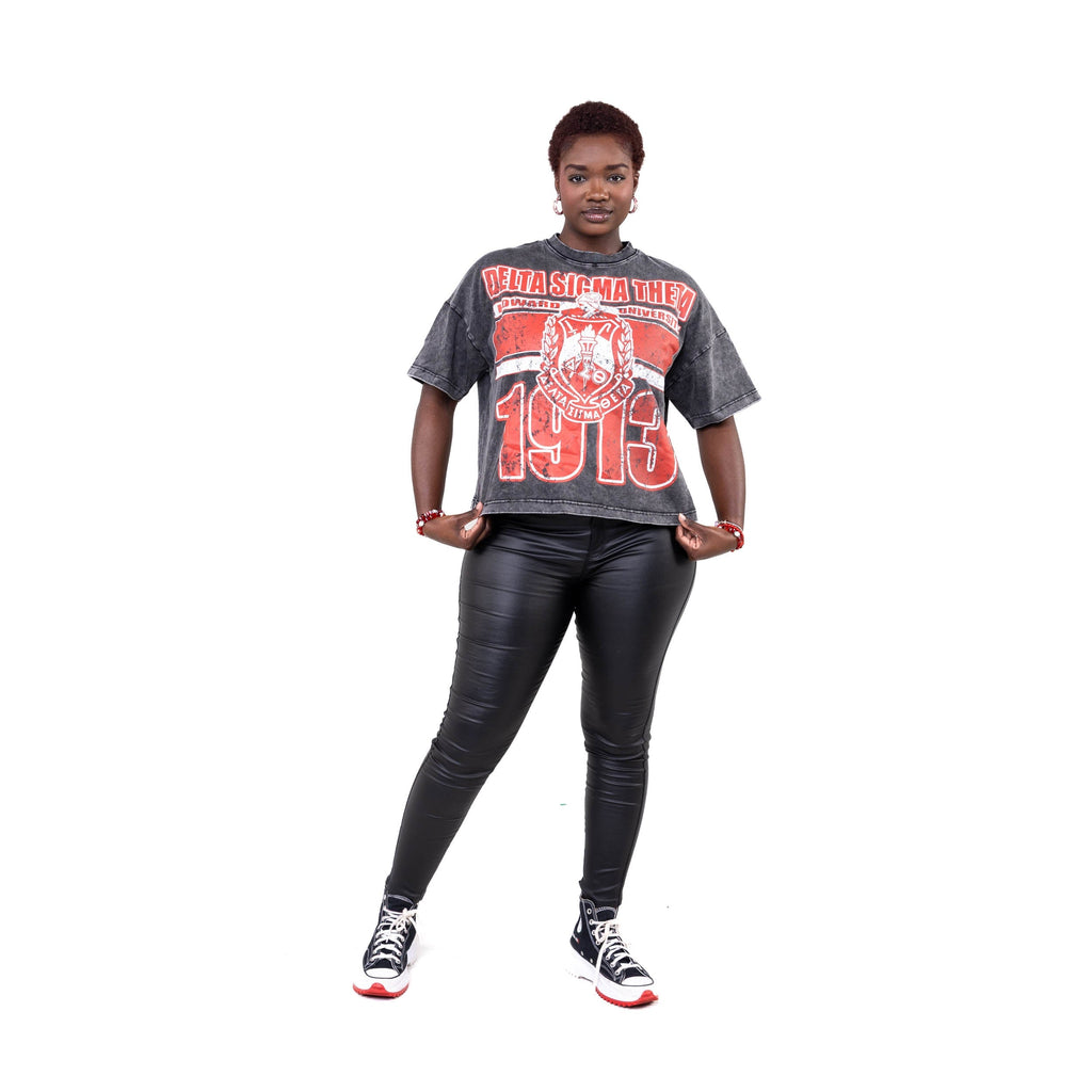 Delta Sigma Theta Oversized Acid Wash Box Tee
